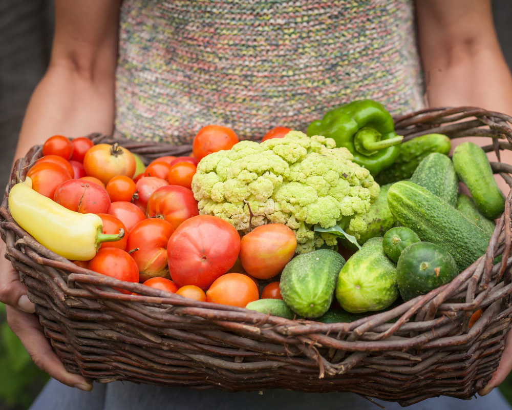 Bucataria verde – Mura House